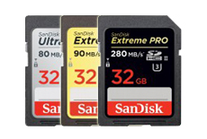 Micro SD & Flash Memory Cards, SDHC, SDXC, SanDisk