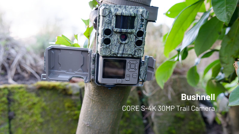 Bushnell CORE S-4K Trailcam, weatherproof with hi-res stills & 4k video ...