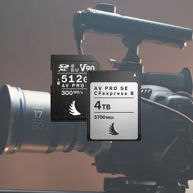 Sony MDR-ZX310AP Stereo on ear Headphones - Review