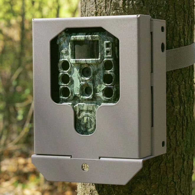 Wildlife Camera | Best Trail Cameras | Trail Cams UK